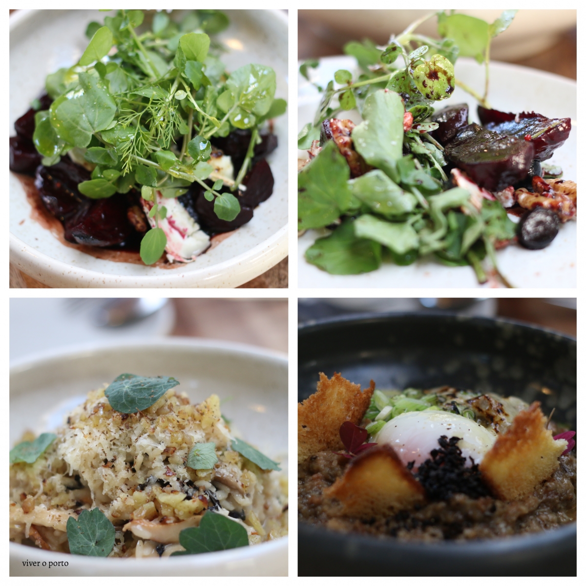 Fava Tonka, restaurante de matriz vegetariana, sazonal e orgânica. Tão ...