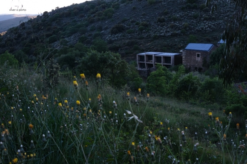 Colmeal Countryside Hotel | Terra de Silêncio - Viver o Porto